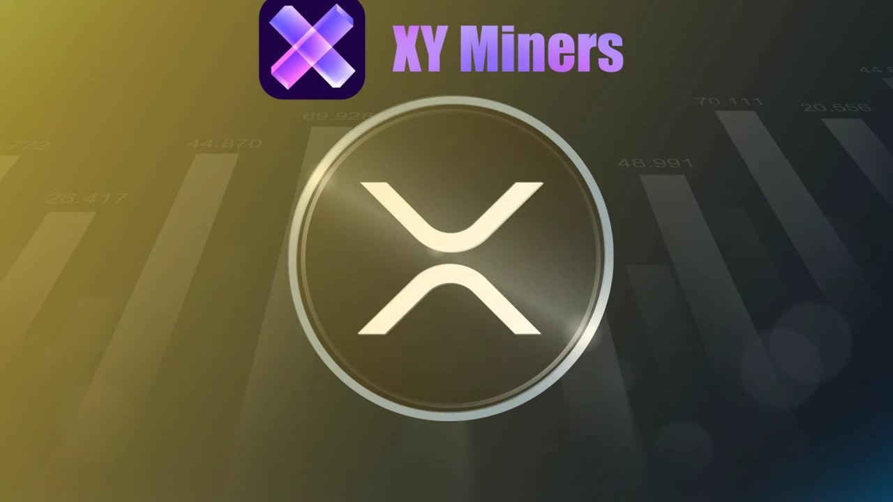 How to turn $1000 into $18500 using Xrp through XY Miners? - OCNJ Daily